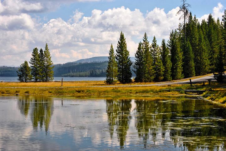 Yellowstone Landscape - CreativeSoul - Photography, Landscapes & Nature ...