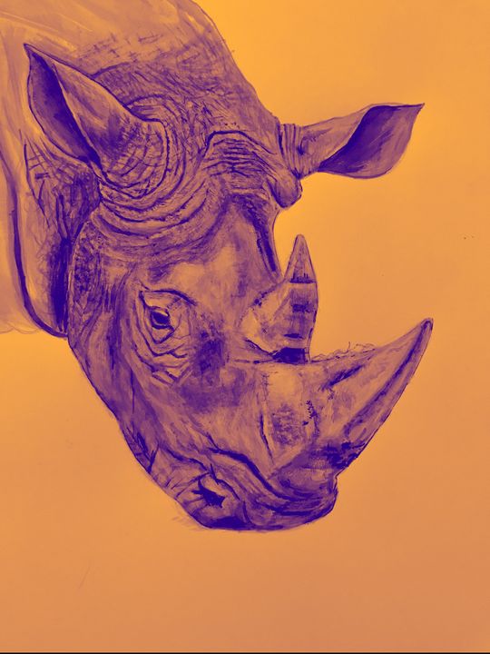 Rhino - Jen.Pen - Paintings & Prints, Animals, Birds, & Fish ...