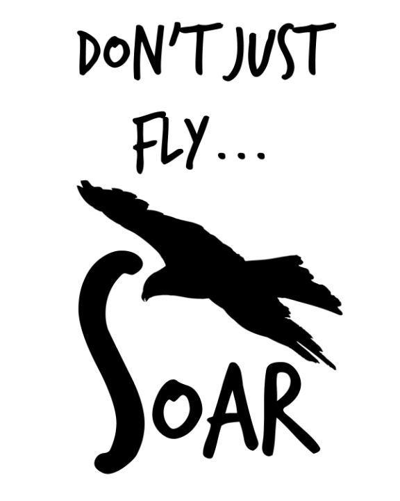 Don't Just Fly Soar Inspirational - A Brush with the Past - Drawings ...