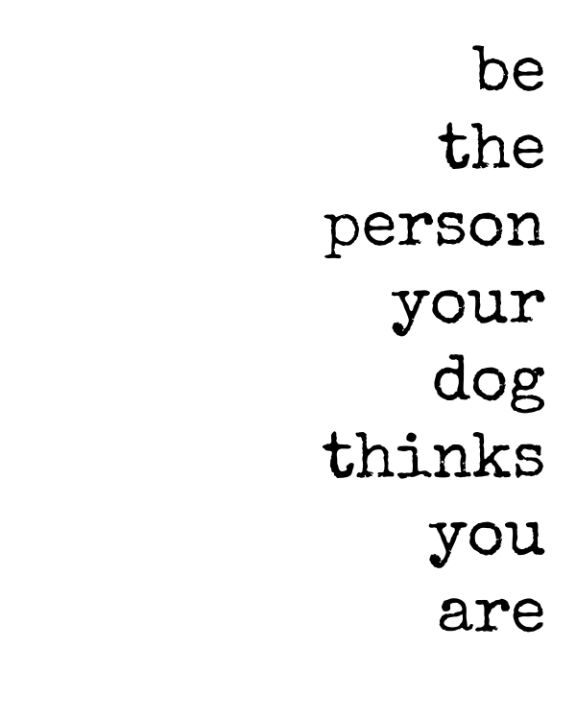 Inspiring Encouraging Dog Quote - A Brush with the Past - Digital Art ...