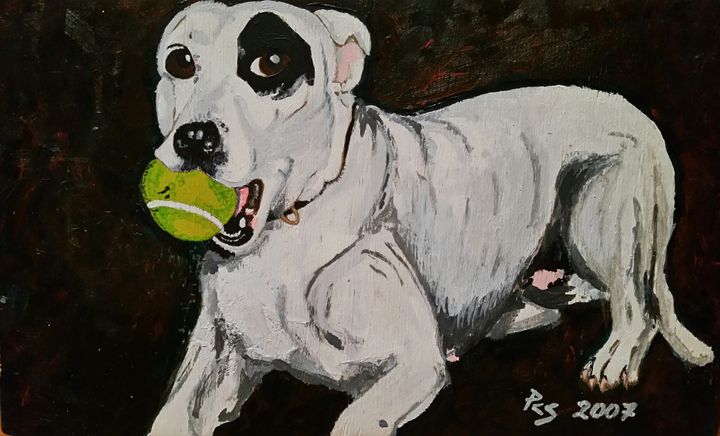 Willow - Peter Starkey - Paintings & Prints, Animals, Birds, & Fish ...