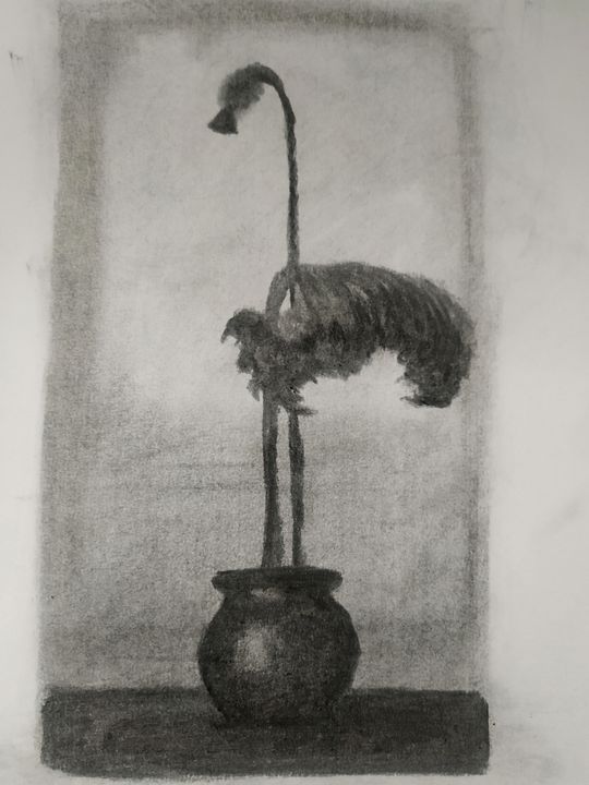 Shabnam's ART depiction - Drawings & Illustration