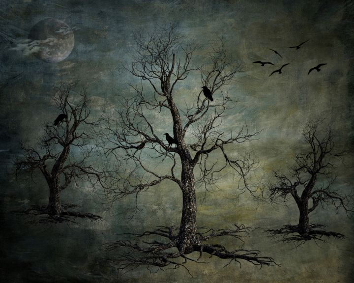 Surreal Petrified Forest Fantasy Art - James DeFazio Photography ...