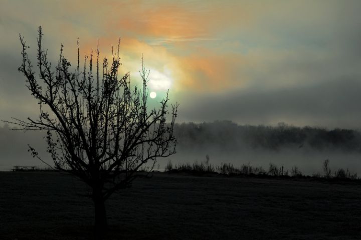 Dawn On A Foggy Morning - James DeFazio Photography - Photography ...