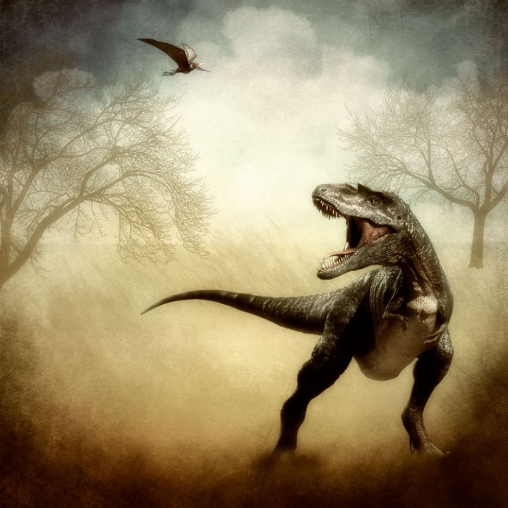 Tyrannosaurus Rex - T Rex - Dinosaur - James DeFazio Photography ...