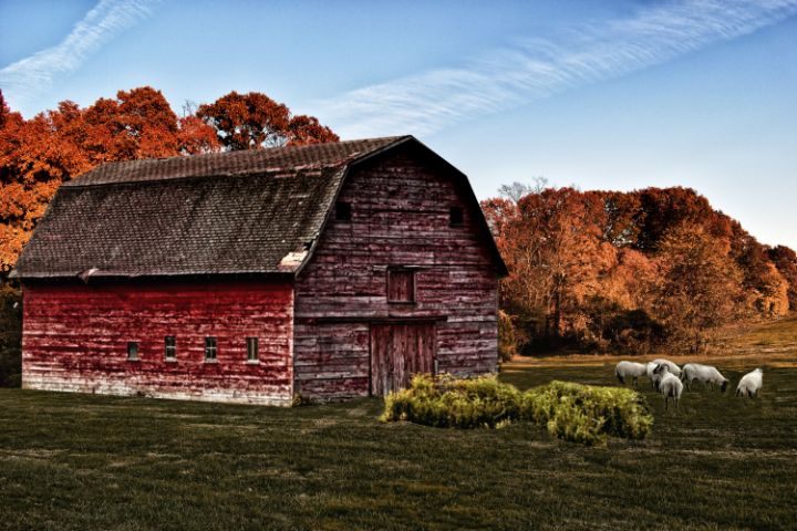 Old Red Barn - James DeFazio Photography - Photography, Buildings ...