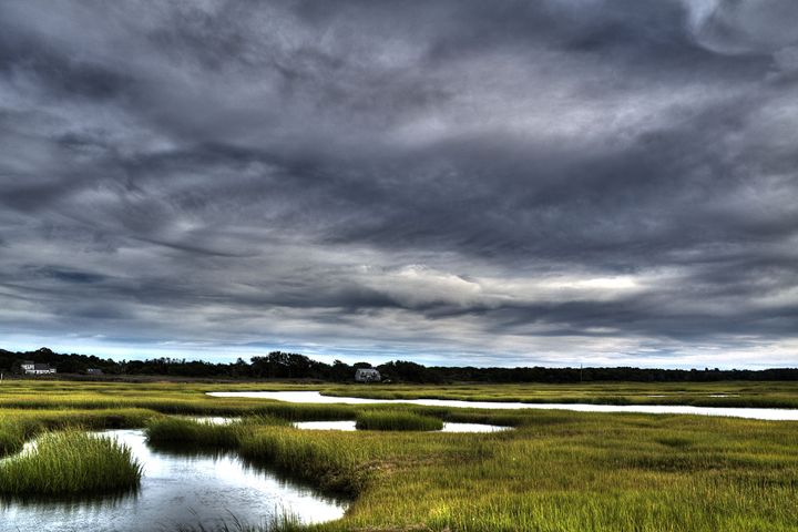 Bass Hole - John Trask - Photography, Landscapes & Nature, Swamps ...
