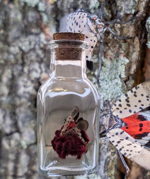 Kitschy Witch - Crafts & Other Art