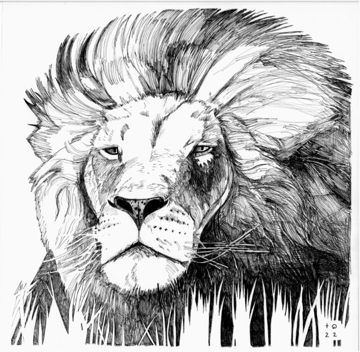 Lion - the yellow room - Drawings & Illustration, Animals, Birds ...