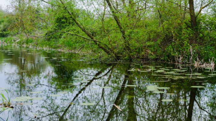 Reflections of nature's beauty - Infinity Photography - Photography ...