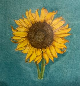 April Cardinal - Ferlet Art - Drawings & Illustration, Animals, Birds ...