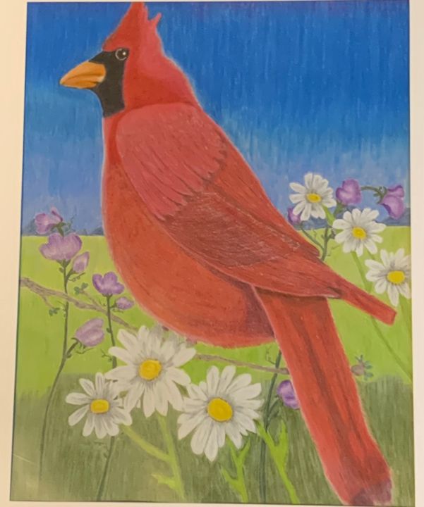 April Cardinal - Ferlet Art - Drawings & Illustration, Animals, Birds ...