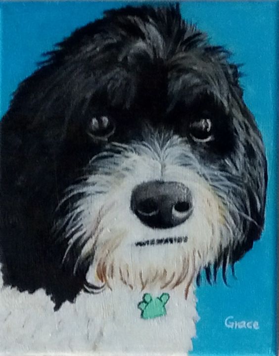 Archie the dog - Grace Hodges - Paintings & Prints, Animals, Birds ...