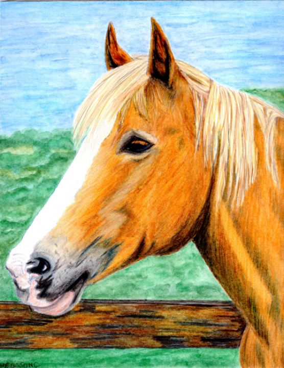 Deep Thinker - AMBnaturespace - Drawings & Illustration, Animals, Birds ...