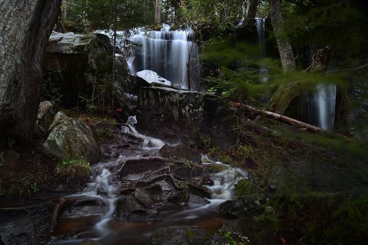 Flooded Walkway in the Forest - Tony Savino - Photography, Landscapes ...