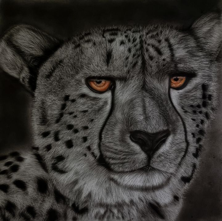Cheetah - Drawings.with.anesu - Paintings & Prints, Animals, Birds, & Fish, Other Animals, Birds ...