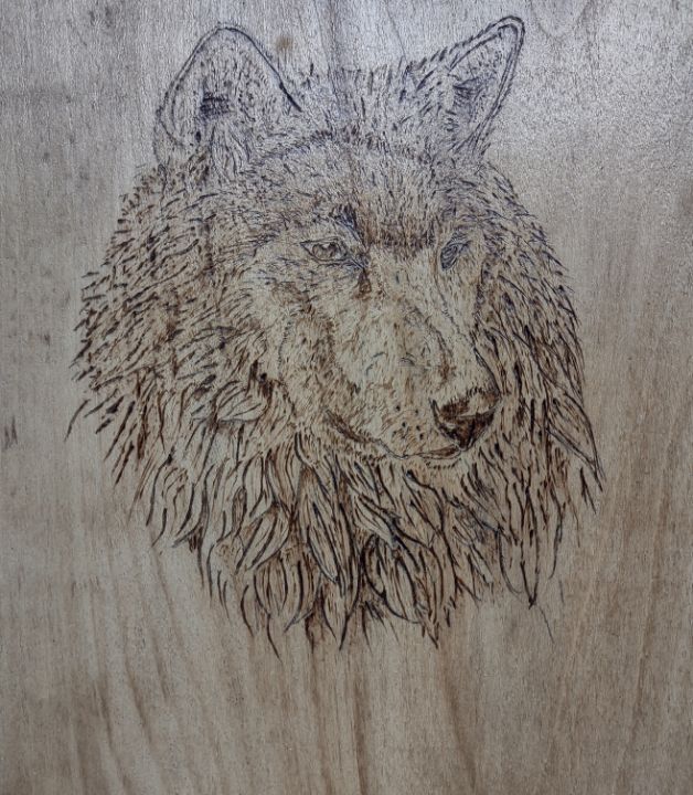 Wolf - Pyrography by Naomi - Drawings & Illustration, Animals, Birds ...