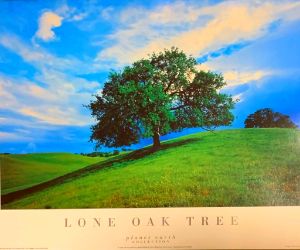 Posters - Photography