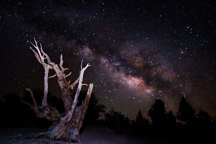 Galactic - Photology Photography - Photography, Landscapes & Nature ...