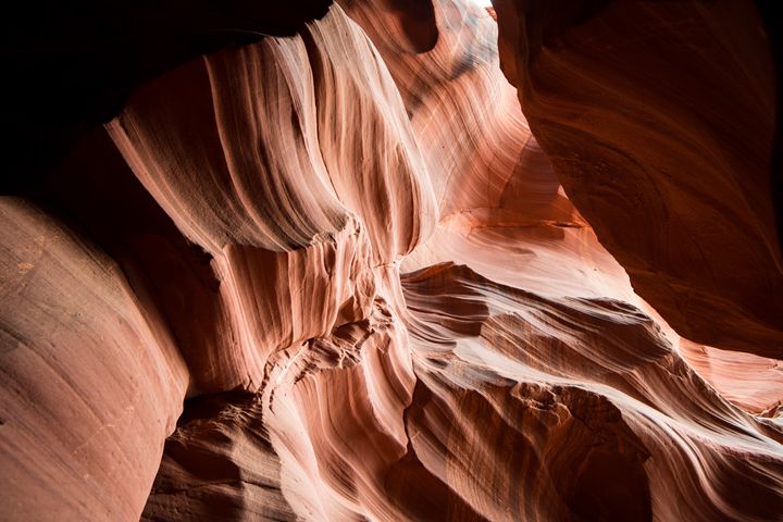 Wind Blown - Photology Photography - Photography, Landscapes & Nature ...