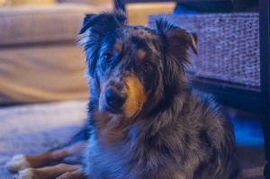 Ryan Wiseman - Photography, Digital Art & AI