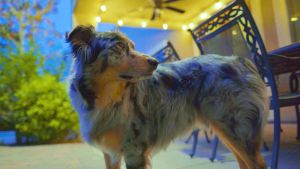 Ryan Wiseman - Photography, Digital Art & AI