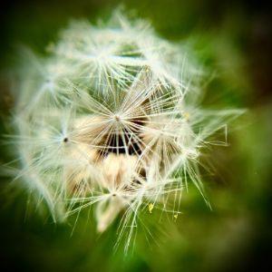 Untitled - Lupi's Wonders - Paintings & Prints, Landscapes & Nature ...