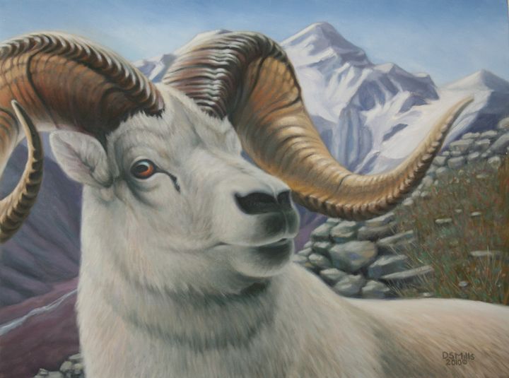 Over The Top - Dan Mills Art - Paintings & Prints, Animals, Birds ...