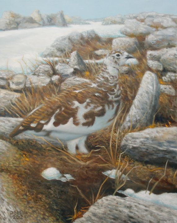 Peekaboo - Dan Mills Art - Paintings & Prints, Animals, Birds, & Fish ...