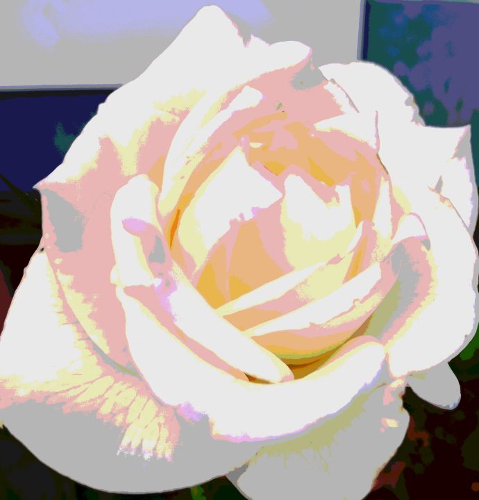 White rose - Lee Duvall - Photography, Flowers, Plants, & Trees ...