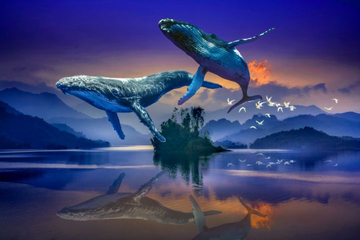 Dancing Spirit Whales - The Art Of David Loblaw - Digital Art & AI ...