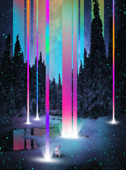 Bunny Rabit In the Light Forest - The Art Of David Loblaw - Digital Art ...