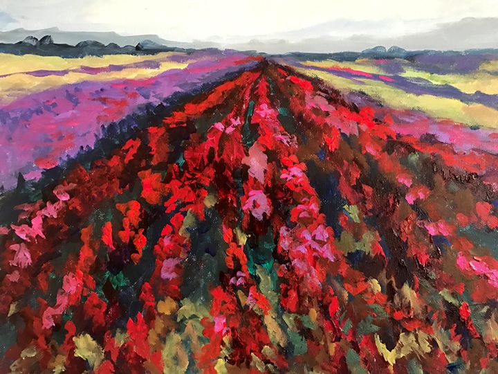 Lompoc Flower Fields - Ramya Oil Paintings - Paintings & Prints ...