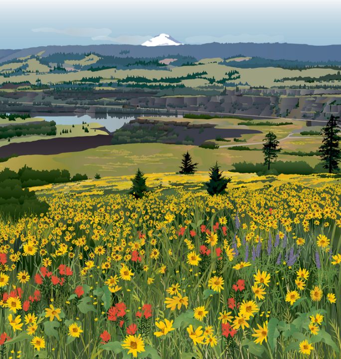 Columbia Gorge Wildflowers - Christine Rains - Digital Art, Landscapes ...
