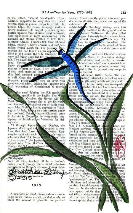 Dragonfly History - Aelwyn Studios - Paintings & Prints, Animals, Birds ...