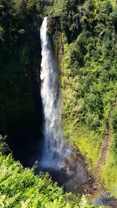 Majestic Akaka Falls - Photography by Pamela - Photography, Landscapes ...