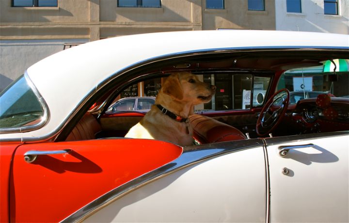 Waiting - Victoria Blewer - Photography, Vehicles & Transportation ...