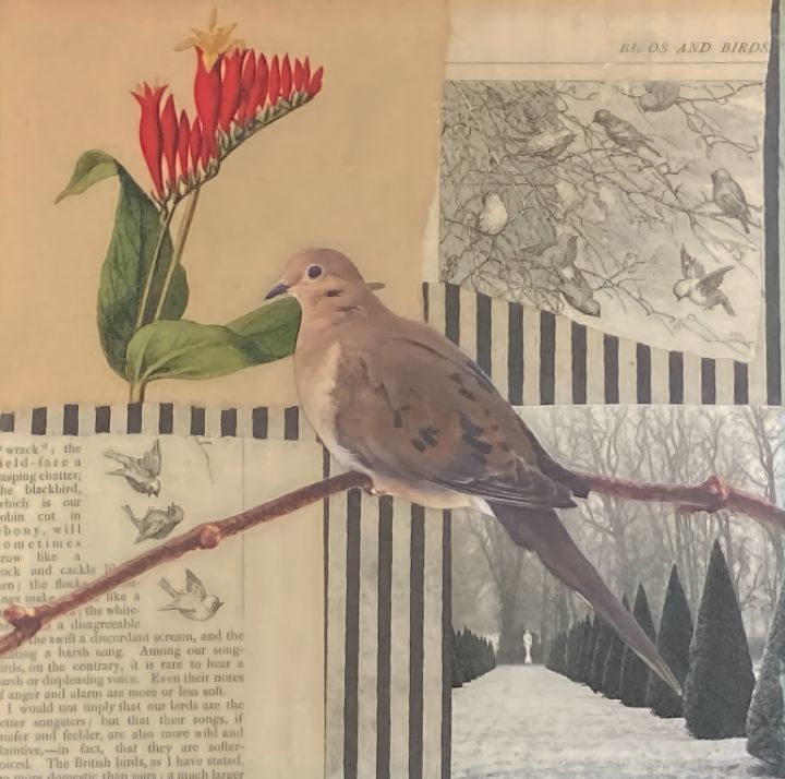 Mourning Dove - Victoria Blewer - Crafts & Other Art, Collages - ArtPal