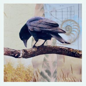 Victoria Blewer - Photography, Crafts & Other Art