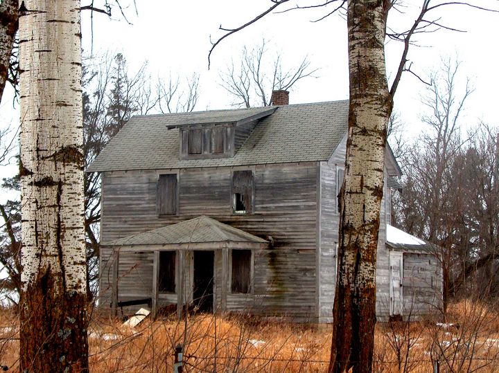 Birch tree house in winter - Julie Bronson's Vanishing Beauty ...