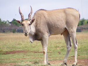 PhinnsArt - Photography, Paintings & Prints, Digital Art & AI