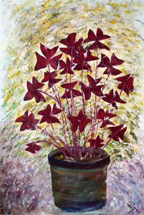 Dreamy Oxalis - Avin - Paintings & Prints, Flowers, Plants, & Trees, Flowers, Other Flowers - ArtPal