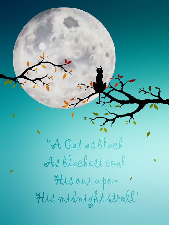 Black Cat Poem - DreamBeyondArt - Drawings & Illustration, Animals ...