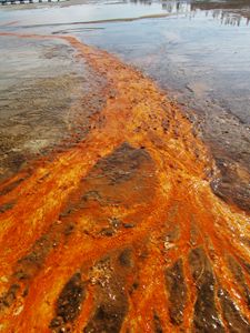 Courtney Mills - Photography