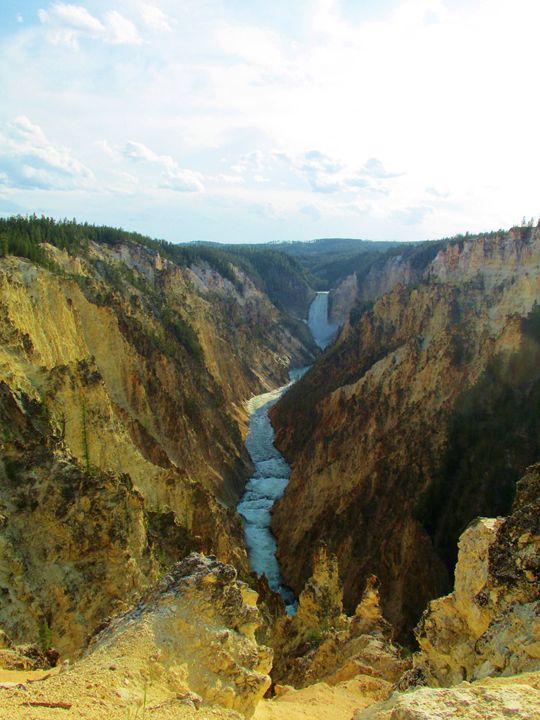 Courtney Mills - Photography