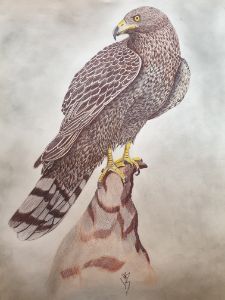 lah_cen drawings - Drawings & Illustration