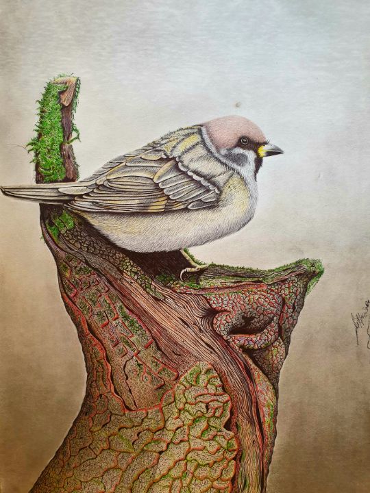 Buy Sparrows, Birds, Animals, Birds, & Fish, Drawings & Illustration at ...