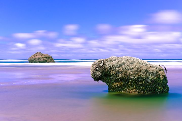 Buffalo Spirit - James Redland Photo - Photography, Landscapes & Nature ...