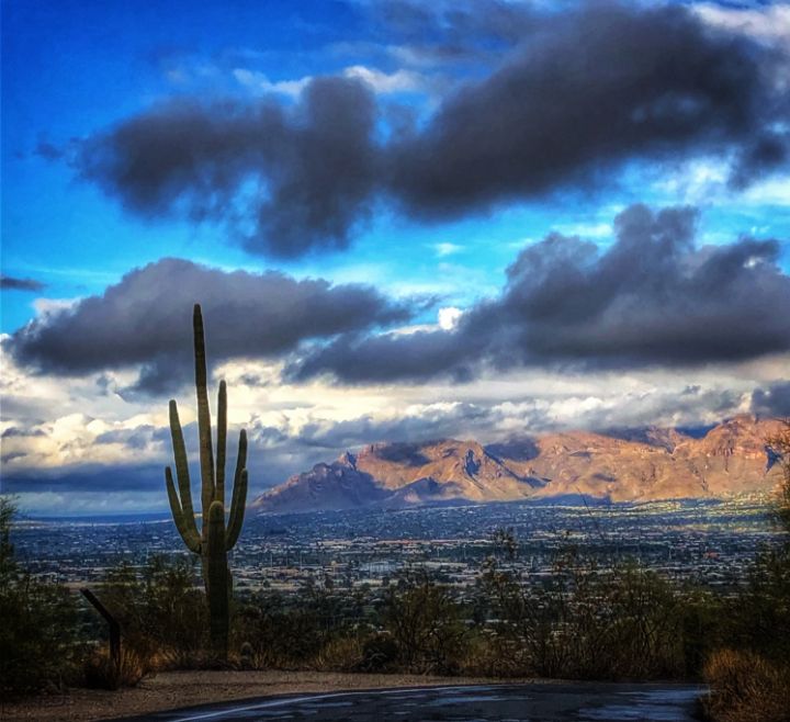 Strength in the Desert - Yadav Originals - Paintings & Prints ...