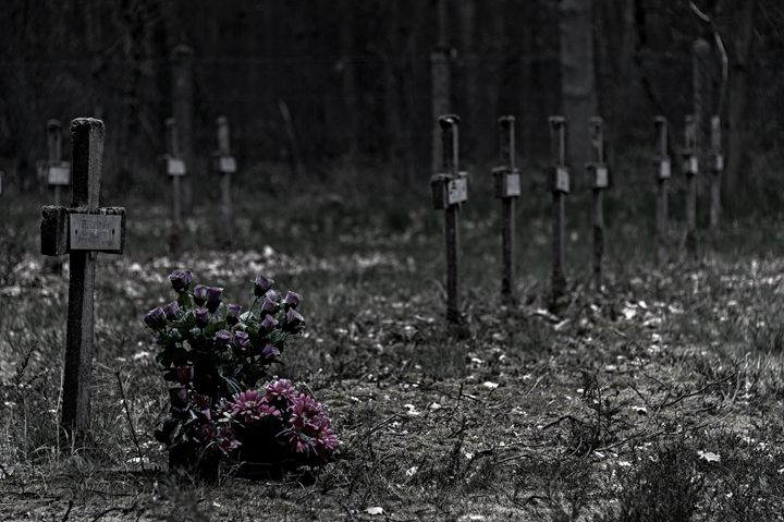 Abandoned graveyard - Photography Vos - Photography, Landscapes ...
